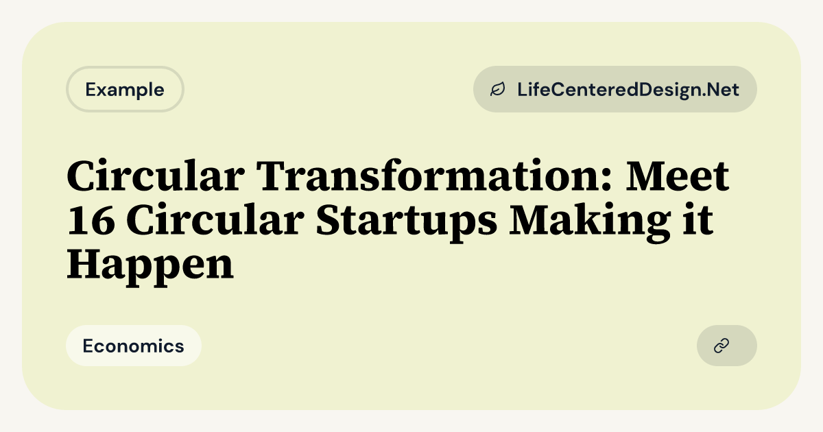 Circular Transformation: Meet 16 Circular Startups Making it Happen ...